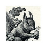 Ravelry: River Otter pattern by Sara Elizabeth Kellner