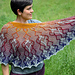 Ravelry: Deco Fans Cowl pattern by Sara Huntington Burch