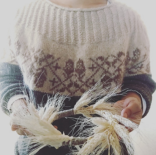 Finally finished my acorn sweater! : r/knitting