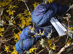 Ravelry: Malabrigo Yarn Rastita