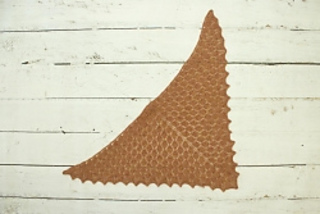 Ravelry: Gingersnap pattern by Stella Ackroyd