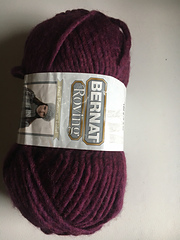 Ravelry: Bernat Roving