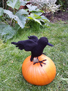Ravelry: Raven crow pattern by Nicky Fijalkowska