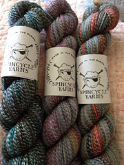 Ravelry: Spincycle Yarns Dyed in the Wool