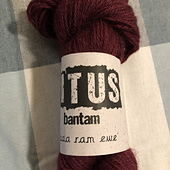 Ravelry: baa ram ewe Titus