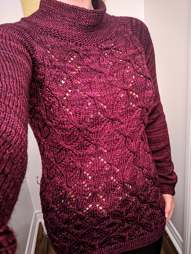 Dragonflies Jumper : r/knitting