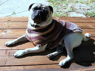 Ravelry: Pug Dog Sweater pattern by Angelcatkins (Elizabeth Watkins ...