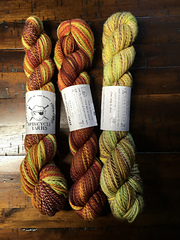 Ravelry: Spincycle Yarns Dyed in the Wool
