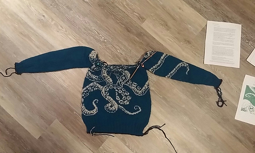 My octopus sweater is done!!! I saw this pattern when I was new to ...